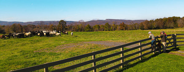 Karl Family Farms: Read Our News Updates & Blog Posts