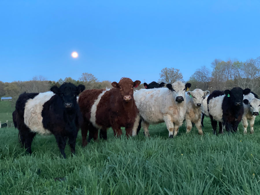 Karl Family Farms: Order Farm-Fresh Meat for Delivery